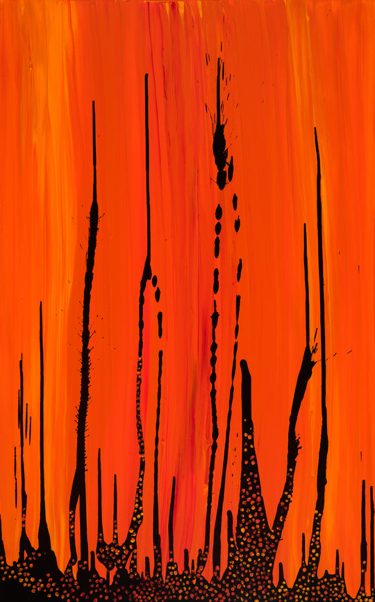 Australian Aboriginal Art, Traditional & Modern Indigenous Artwork ...